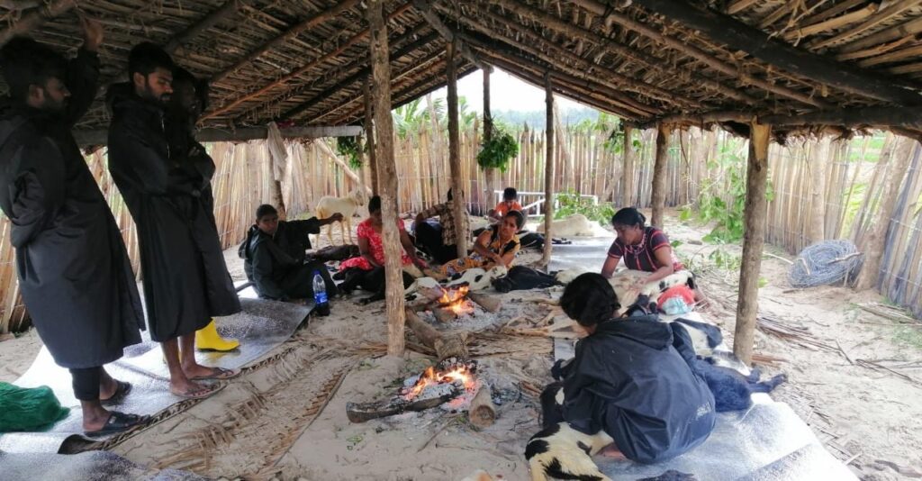 Cyclone Mandous kills hundreds of livestock in Sri Lanka’s northern ...